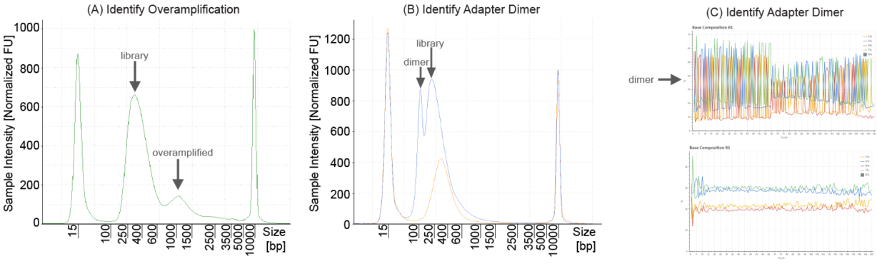 What are some best practices for library quantification and loading to ...