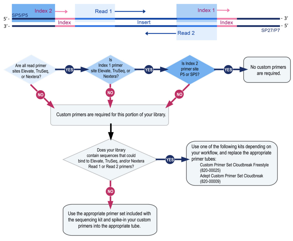 Can I use custom primers on the AVITI? | Element Biosciences