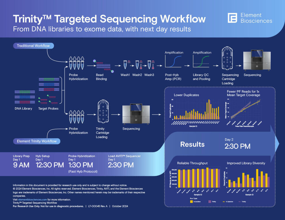 Infographic: Trinity Targeted Sequencing Workflow | Element Biosciences